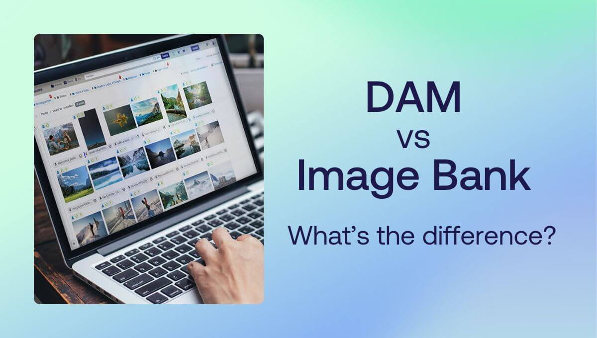 Digital Asset Management